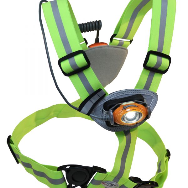 Homepage - GoMotion Gear